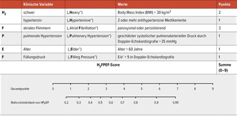 Hfpef Diagnostik In Der Praxis Kardiologie And Gefäßmedizin