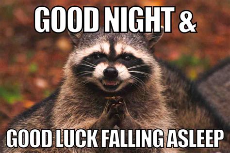 27 Best Goodnight Memes To Share Before Bedtime