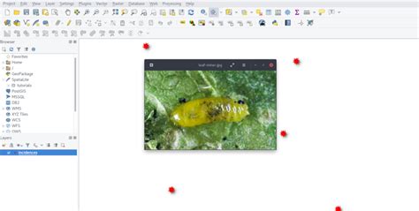 Using Photos In QGIS Projects Life In GIS