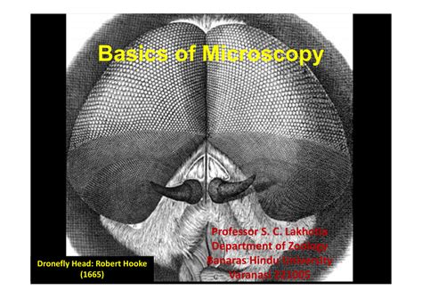 PDF Basics Of Microscopy