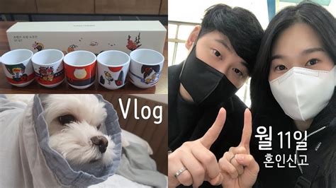 일상 Vlog 빼빼로데이 기념 혼인신고 신라호텔 예약 모니터 구매 은근 먹방 Youtube