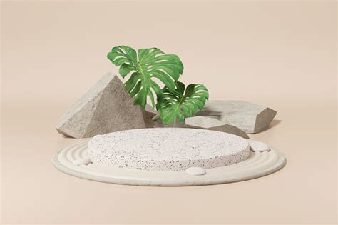 제품 연단 화장품 프리젠 테이션을 형성 돌과 작은 식물의 모의 3d 렌더링 3차원 형태에 대한 스톡 사진 및 기타 이미지 3차원 형태 사암 입체 이미지 Istock