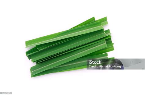 그룹 레몬 그라스 잎 조각은 흰색 배경에 고립되어 있습니다 레몬 그라스에 대한 스톡 사진 및 기타 이미지 레몬 그라스 흰색 배경 자르기 Istock