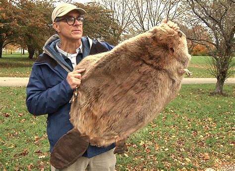 The White Whale For Great Lakes Shipwreck Hunters