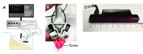 A Schematic Of Our Experimental Setup In Which The Light Emitting Download Scientific Diagram