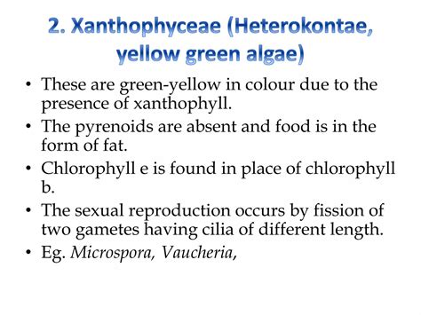 Classification Of Algae PPTX Geography Science