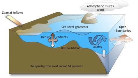hydrodynamics ereefs research