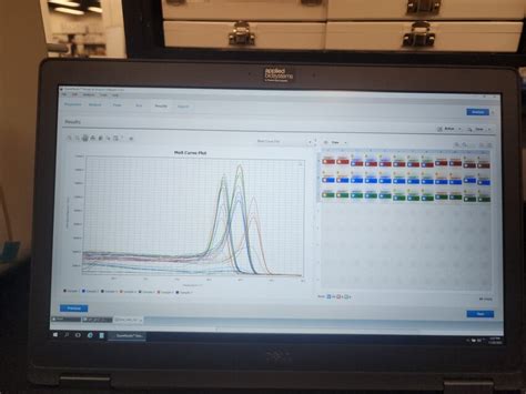 Qpcr Melt Curve Researchgate