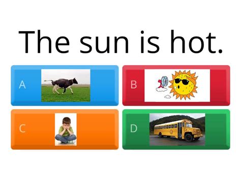 Reading Comprehension Quiz