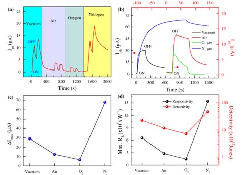 Photocurrent Response In Various Environments A Time Dependent