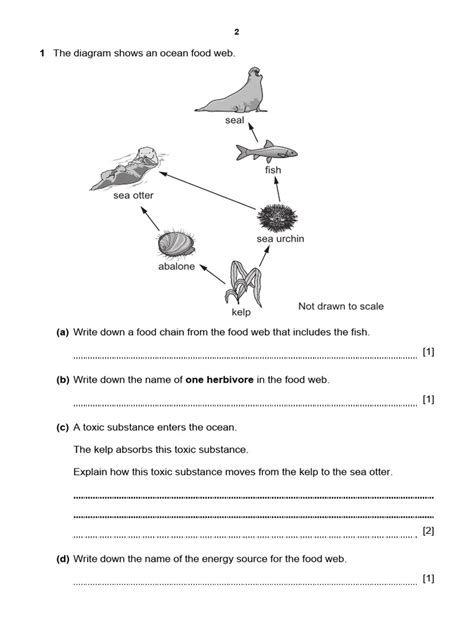 Science Mock Paper 1 Pdf Rock Geology Sedimentary Rock