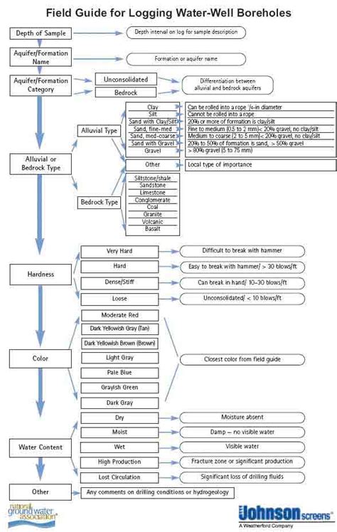 Formation Of Coal Flow Chart