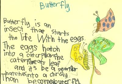 PYP Sharing The Planet Learning Journey