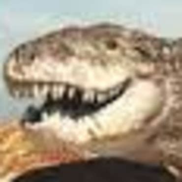 Discuss Everything About Dinopedia Fandom