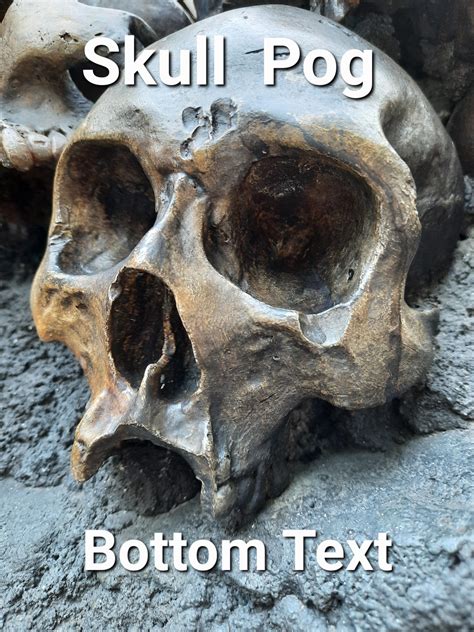 Get It Dead Meme Rdeadmemes