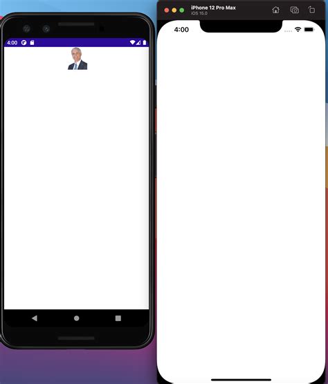 Bug IOS Image Isn T Shown On The Screen If It Is Added Into Project As EmbeddedResource