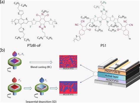 Optimizing The Morphology Of All Polymer Solar Cells For Enhanced Photovoltaic Performance And