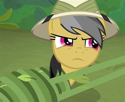 Daring Do On A Jungle Vine Leash By Creativityagent99 On Deviantart