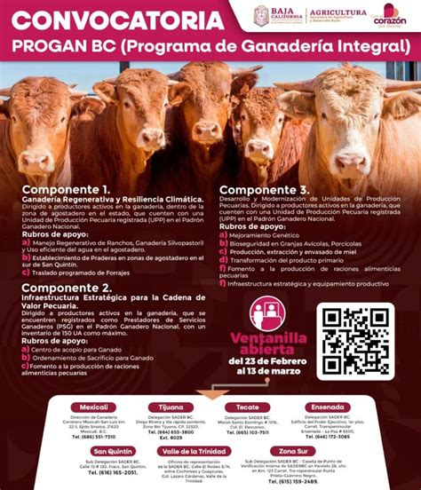 Productores Del Campo En Baja California 2026 Ndt Noticias De Tijuana