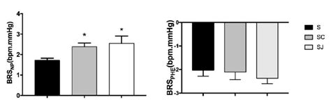 Results Of Baroreflex Sensitivity After Activation With Sodium Download Scientific Diagram