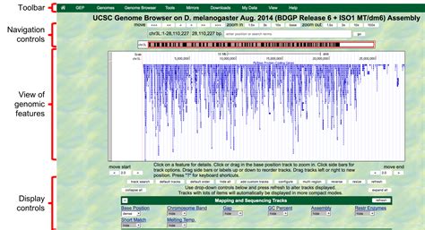 1 Module 1 — Understanding Eukaryotic Genes 0 0 1 Documentation