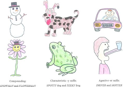 Picture Stimuli Used In Compounding Derivational Characteristic Y Download Scientific