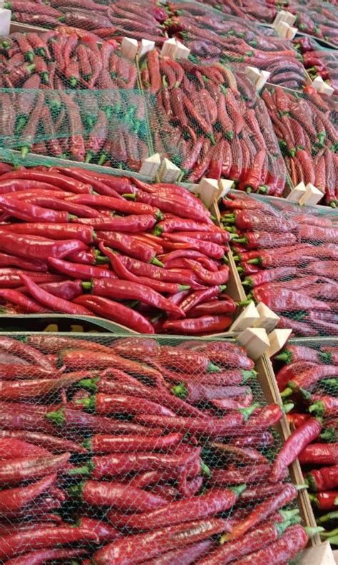 El Mustapha Aarab Posted On Linkedin