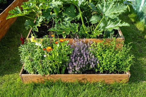 A Wooden Crate With Various Vegetables Standing On The Grass In The Garden Stock Image Image