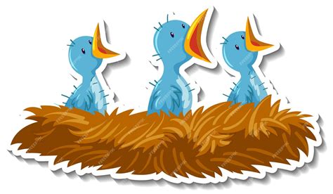 Cute Bird Nest Clip Art