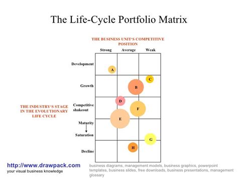 Life Cycle Portfolio Matrix Diagram
