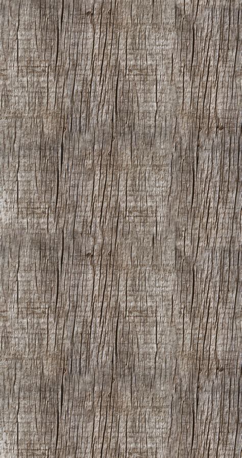 Branch Tree Texture To Download ManyTextures