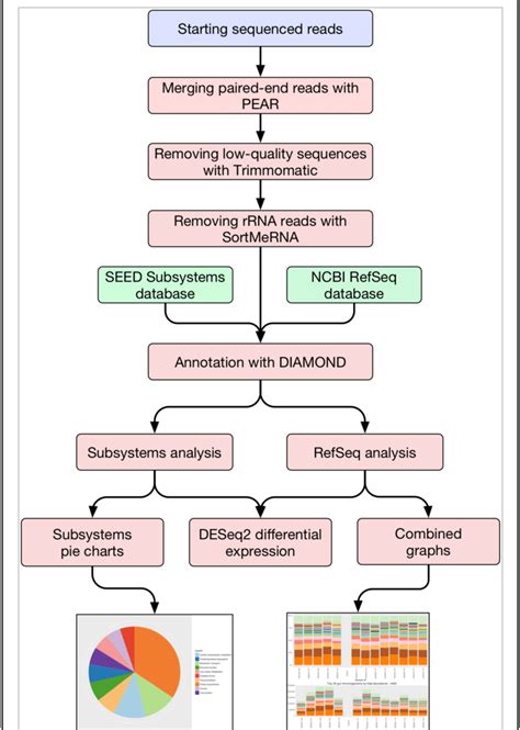 Samsa2 Metatranscriptome Analysis Pipeline Download Scientific Diagram