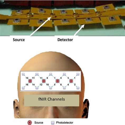 Overview Of The Functional Near Infrared Spectroscopy System With The Download Scientific