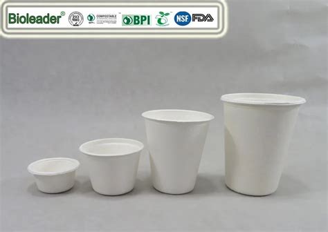 From Plants To Cups What Are Compostable Cups Made Of