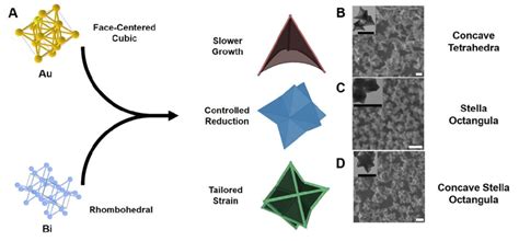 Bi Directed Synthesis Of High Index Anisotropic Nanoparticles A