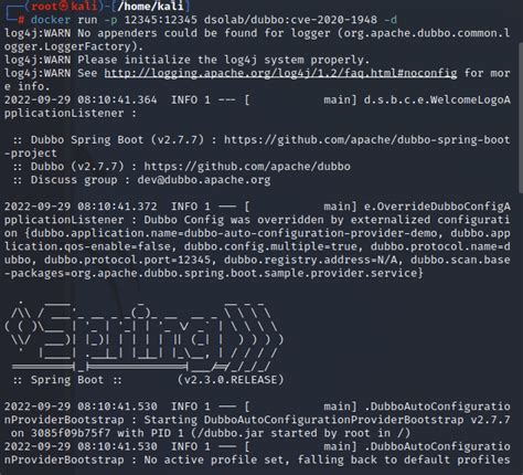 Apache Dubbo 反序列化 Cve 2020 1948 Csdn博客