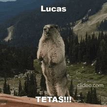 Lucas Tetas Joyolu04  Lucas Tetas Joyolu04 Lolas Discover