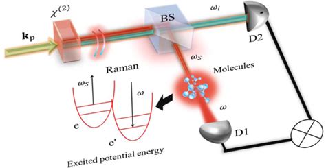 纠缠光子实现了时频分辨相干拉曼光谱及其在飞秒尺度电子相干性中的应用 Light Science Applications X MOL