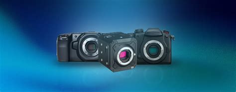 The Definitive Guide To Micro Four Thirds Cameras Artlist