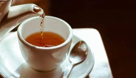 Ni Stres Ni Nesanica Svako Veče Popijte čaj Od Ove Biljke Za Nikad Bolji San Biljke Za