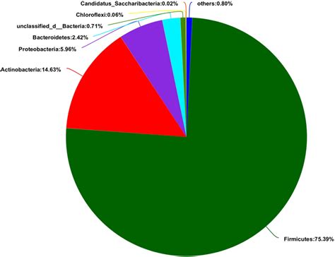 Relative Abundance Of The Most Abundant Bacterial Phyla In Bsfl Residues Download Scientific