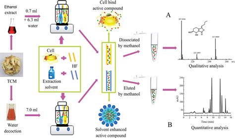 [diagram] Block Diagram Hplc Mydiagram Online