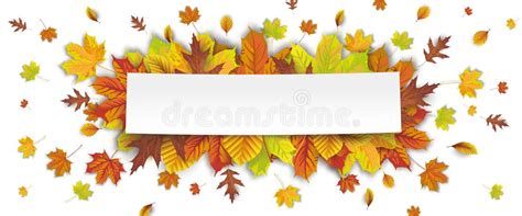 File Tab White Stock Illustrations 1 224 File Tab White Stock