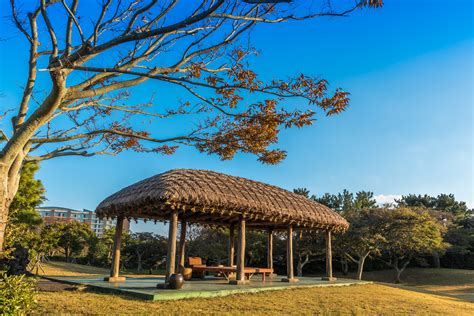 济州民俗村 济州岛景点 华侨城旅游网