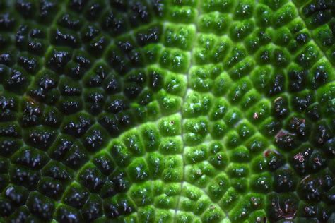 Uploading Sarif Reports To Github By Enrique López Mañas Snapp