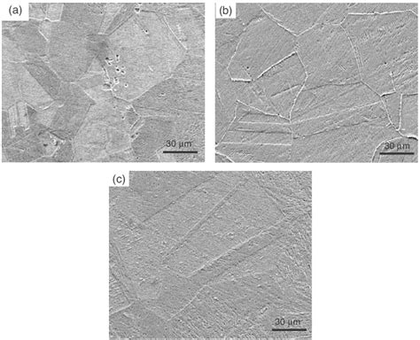 Microstructure Of Testing 304l Samples A Original Structure B