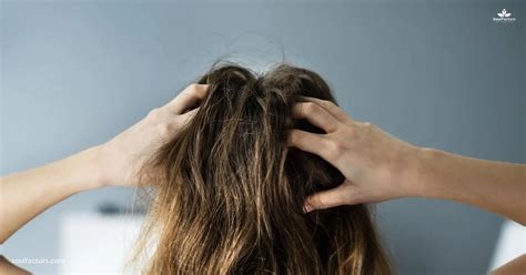 15 Best Shampoo For Eczema To Nourish Your Scalp