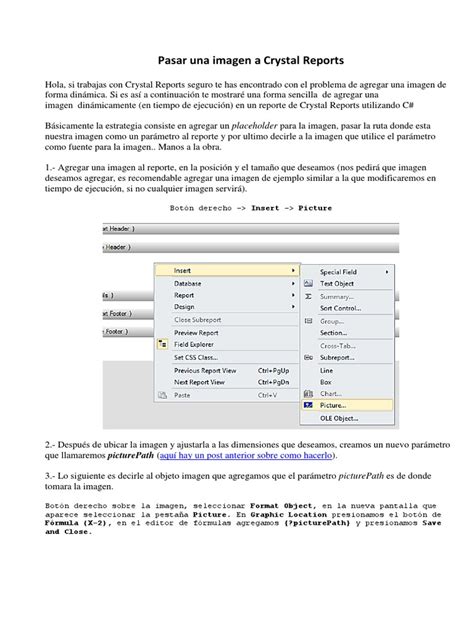 Pasar Una Imagen A Crystal Reports Pdf C Sharp Lenguaje De