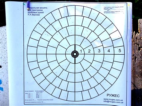 Мишень для карабина распечатать а4