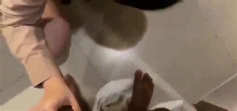 Ini Dari Kampus Mana Ini